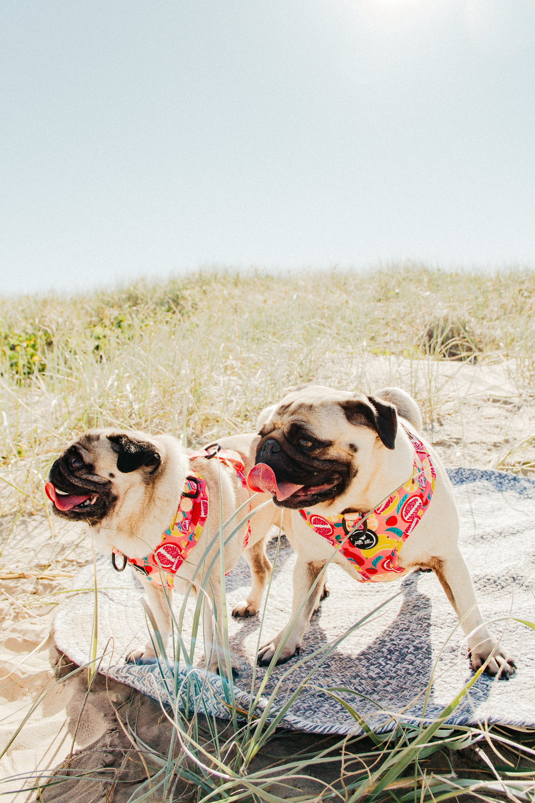 Little Ellie – Little Ellie Boutique